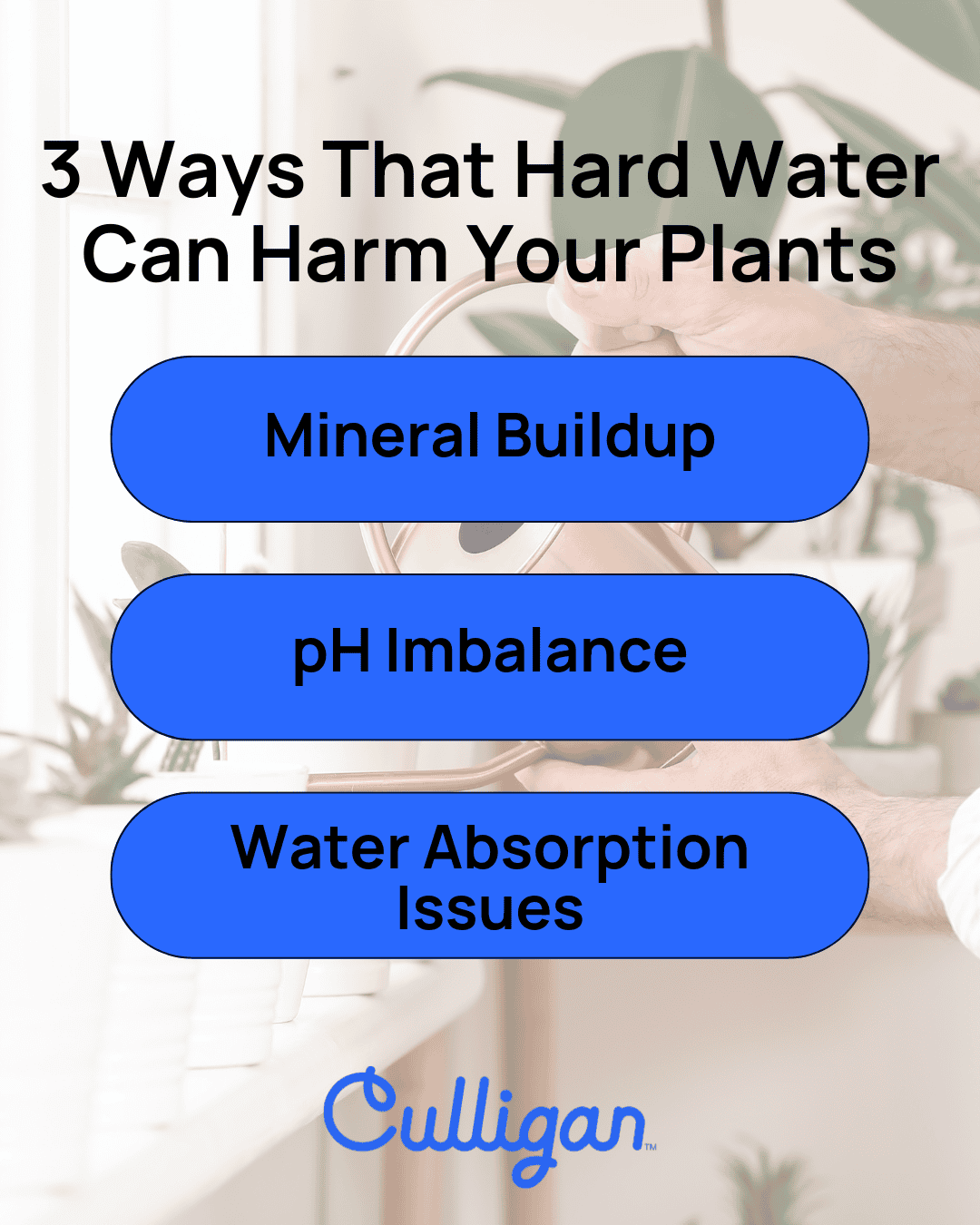 The Best Water for Your Plants: Hard vs. Soft Water | Culligan Escondido